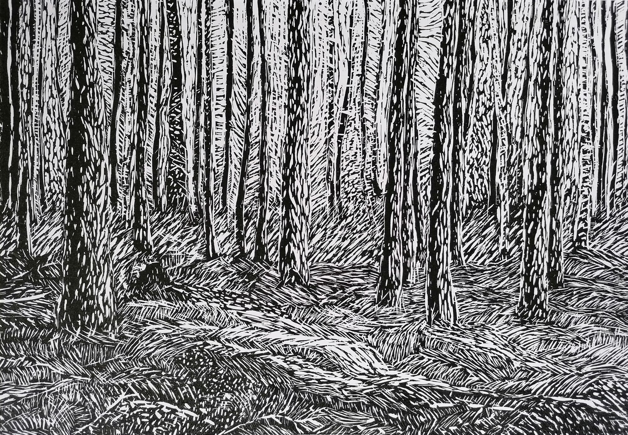 "LAS..." - Adam Kała - grafika - Gallerystore.pl