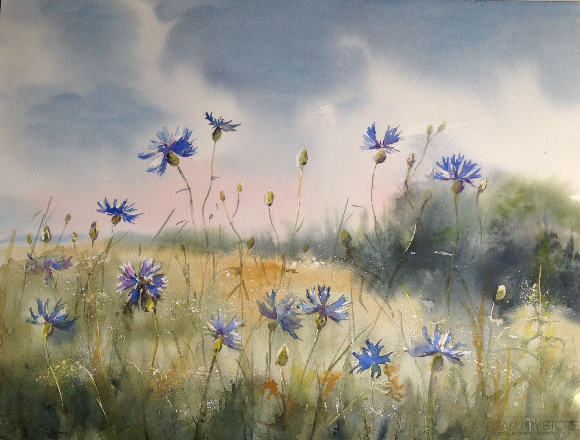 Chabry - Bożenna Niewinowska - akwarela - Gallerystore.pl