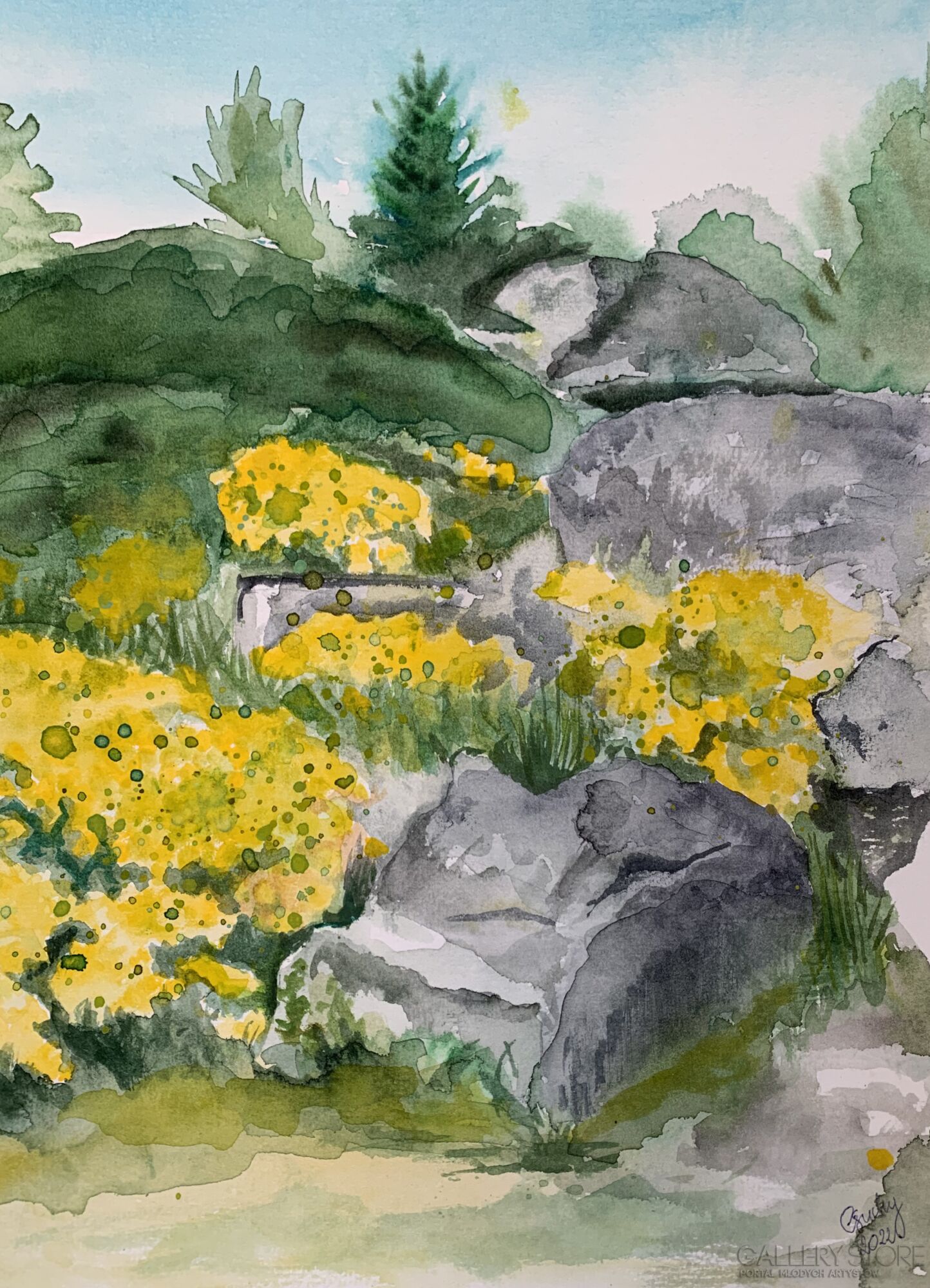 W skalnym ogrodzie - Ewa Suchy - akwarela - Gallerystore.pl