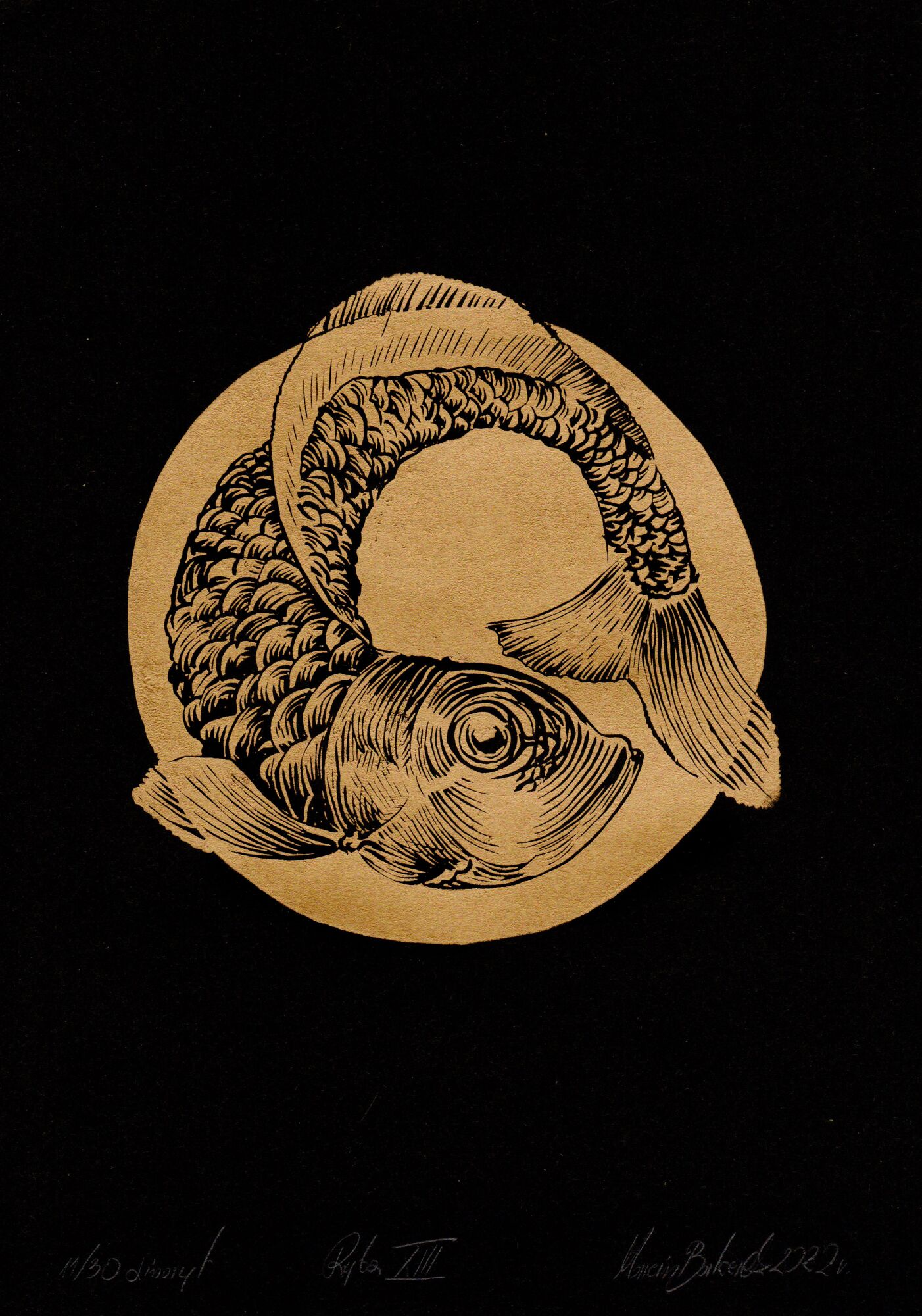 Ryba XIII - Marcin Balcerek - grafika - Gallerystore.pl